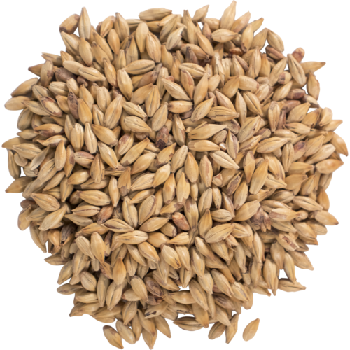 CaraPils "Dextrin" "Carafoam" Malt - Briess Malting | Wild West ...