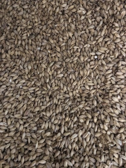 2 Row American Brewers Malt - Briess | Wild West Homebrew Supply Co.